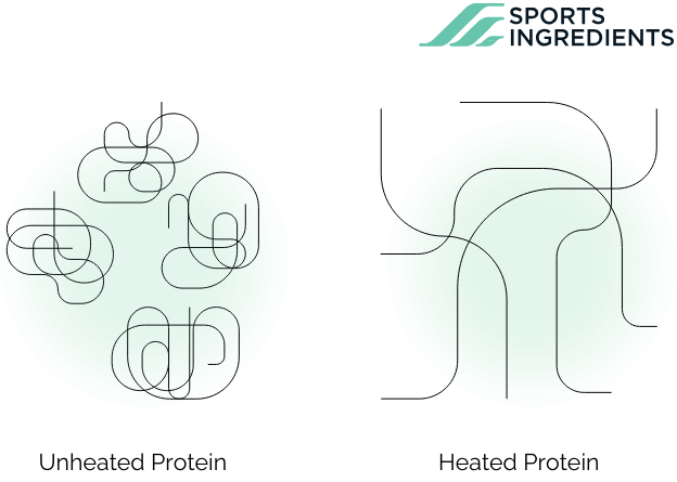 Heat Stability of Proteins in Sports Nutrition